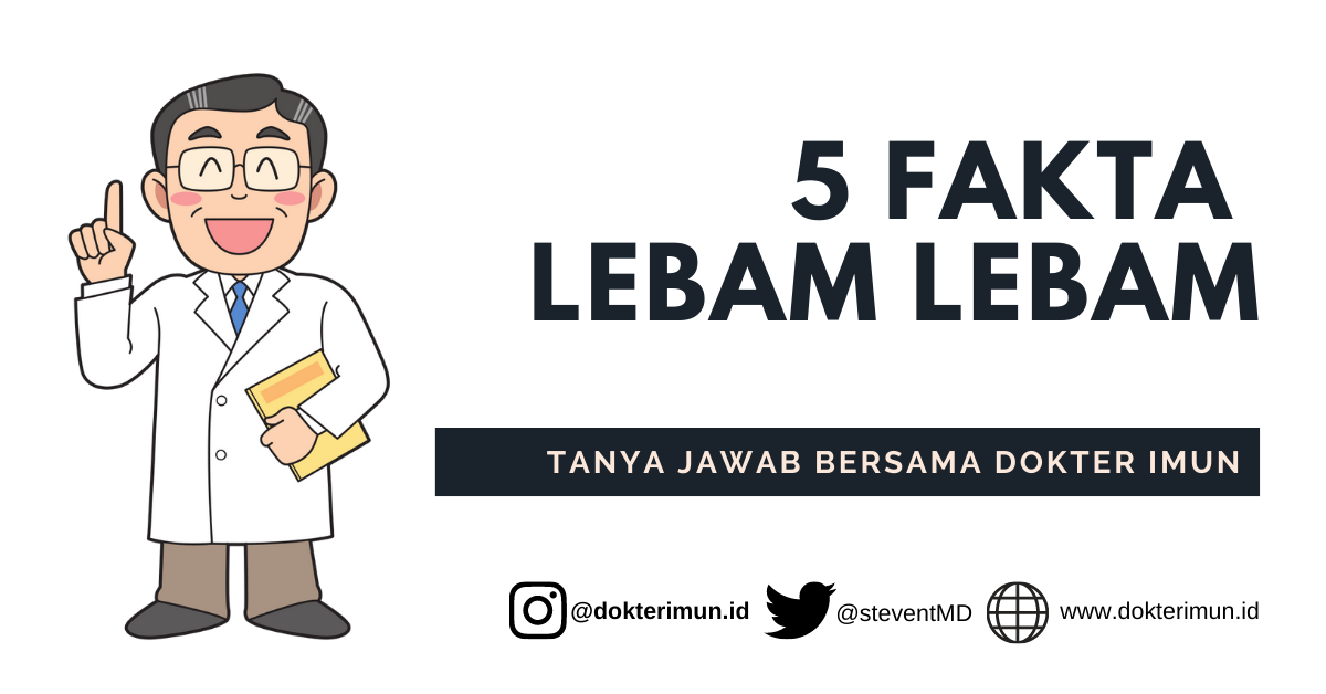 5 Fakta yang harus diketahui mengenai lebam-lebam – Dokter Imun